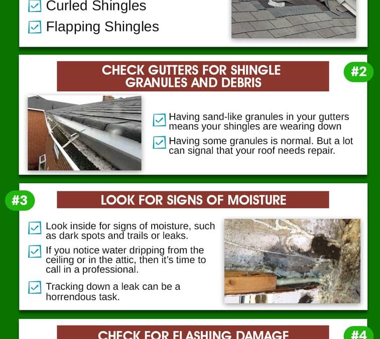 Storm Damage Infographic - American Dream Restoration, LLC